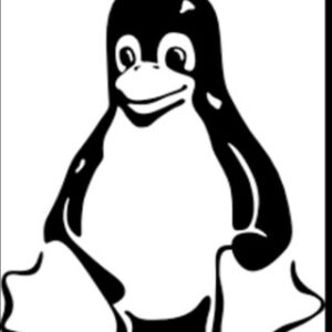 Linux: A história por trás dos 29 anos - Diolinux