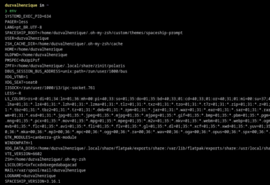 37 principais comandos do Linux: do básico ao avançado - Diolinux