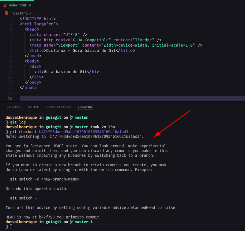 Instalar e usar GIT no Linux: tutorial para iniciantes - Diolinux