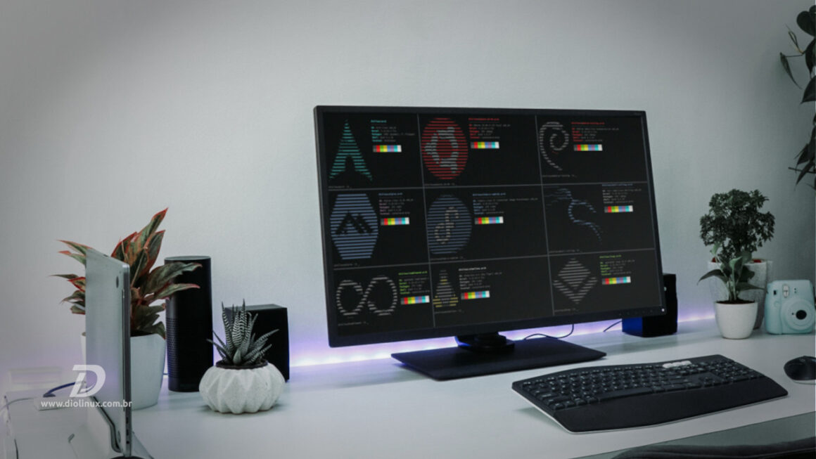 Distrobox: como configurar e instalar suas primeiras distros - Diolinux