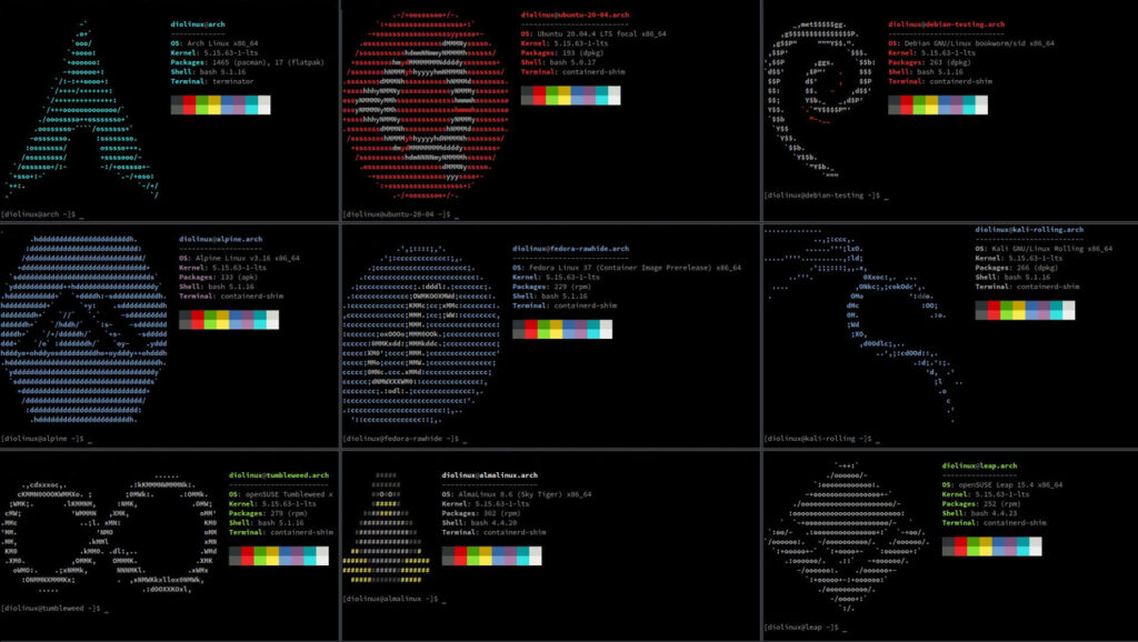 Distrobox: como configurar e instalar suas primeiras distros - Diolinux