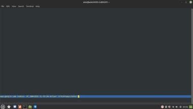 Como pesquisar no Google e navegar na internet pelo terminal no Linux