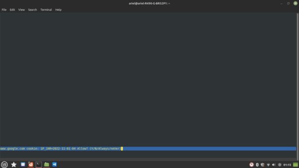 Como pesquisar no Google e navegar na internet pelo terminal no Linux