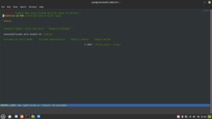 Como pesquisar no Google e navegar na internet pelo terminal no Linux