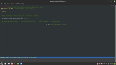 Como pesquisar no Google e navegar na internet pelo terminal no Linux