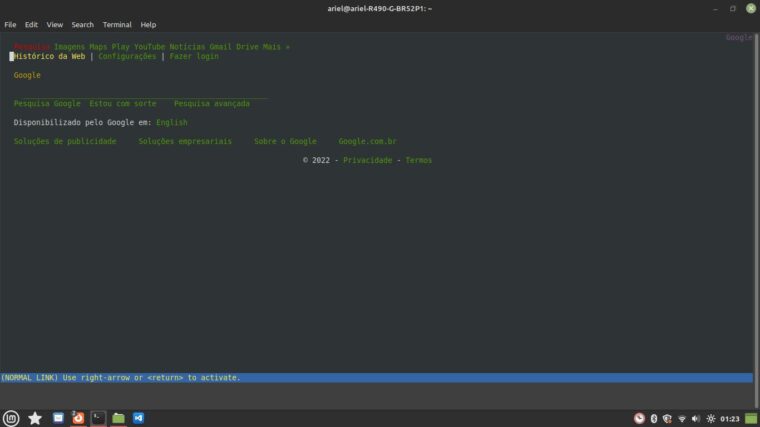 Como pesquisar no Google e navegar na internet pelo terminal no Linux