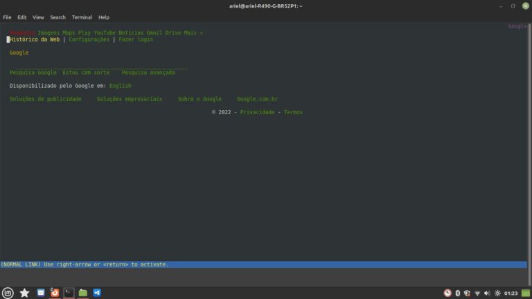 Como pesquisar no Google e navegar na internet pelo terminal no Linux