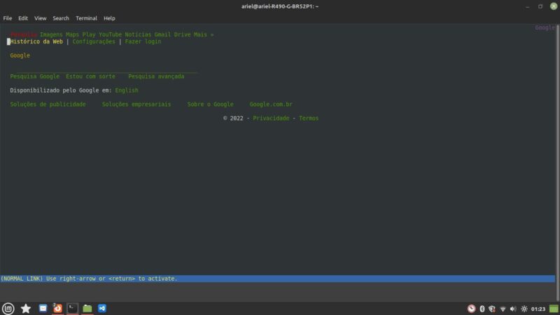 Como pesquisar no Google e navegar na internet pelo terminal no Linux