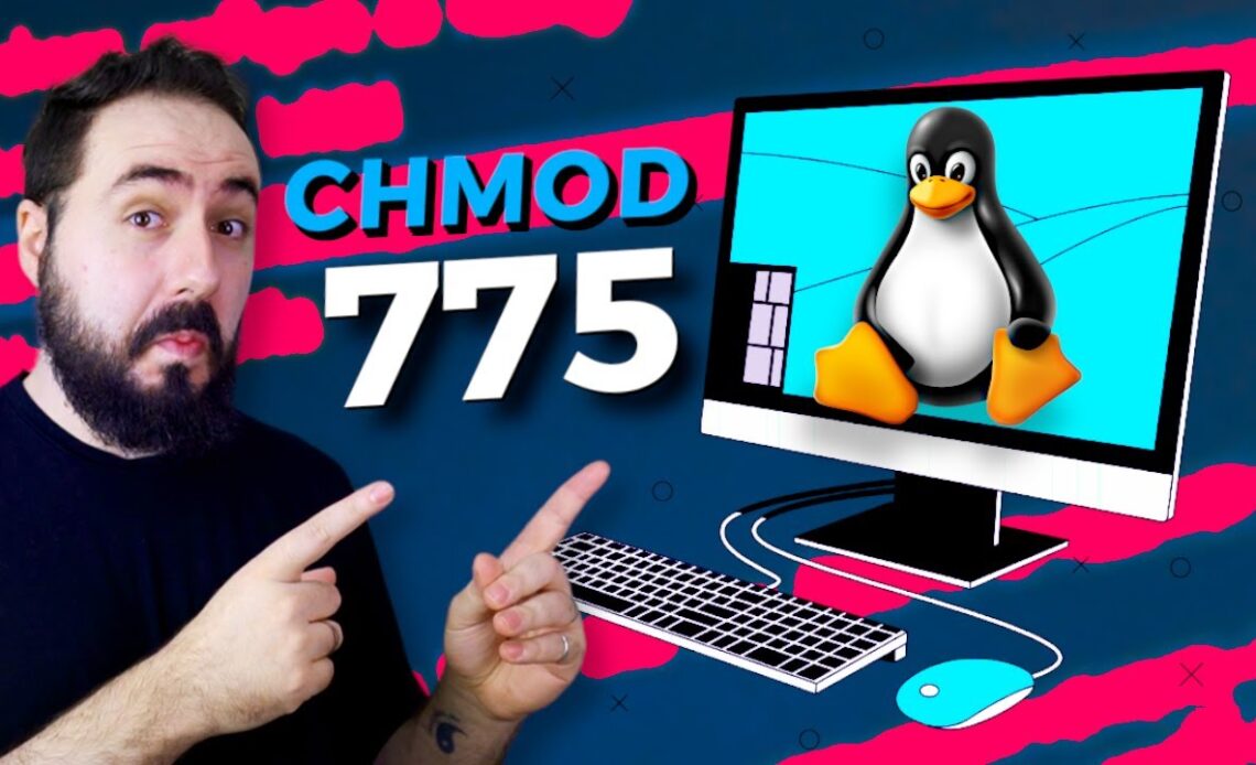 Aprenda a gerenciar permissões em sistemas Linux e entenda o chmod 777