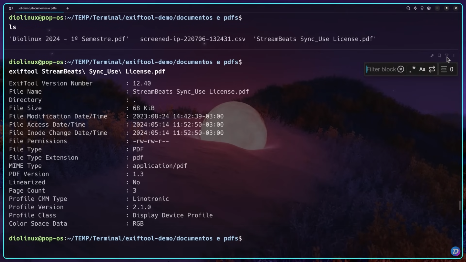 12 comandos de terminal Linux para você se sentir um hacker