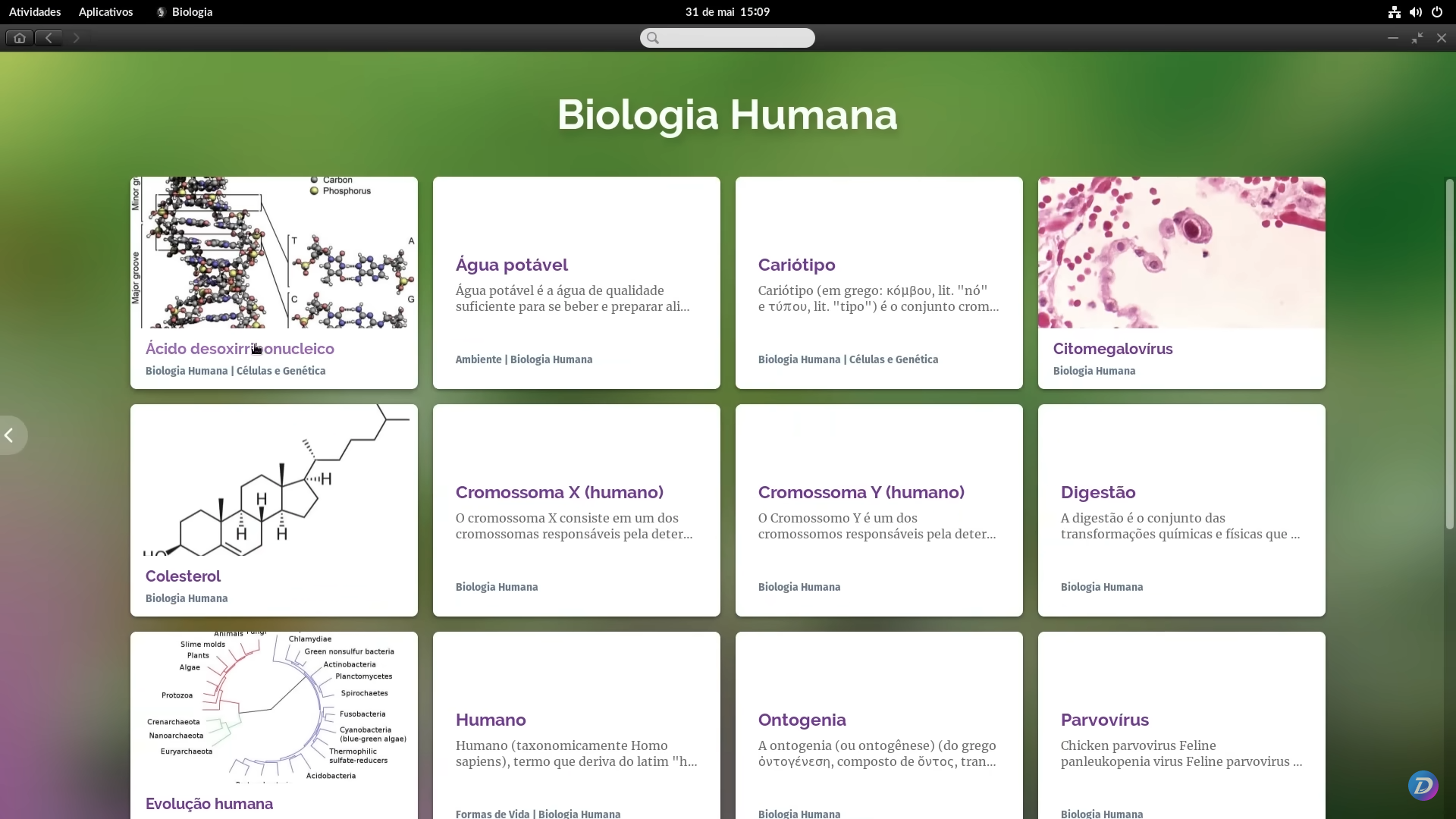 Endless OS, um Linux para iniciantes e para a inclusão digital